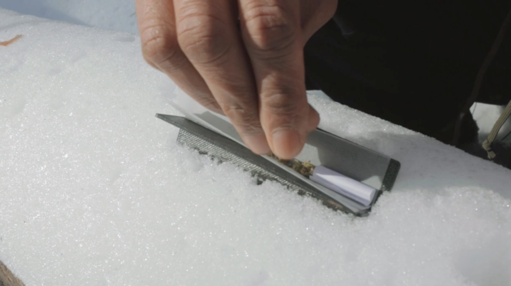 ASMR WEED - Joint Drehen im Winter Wunderland - WheresMyWeed.at